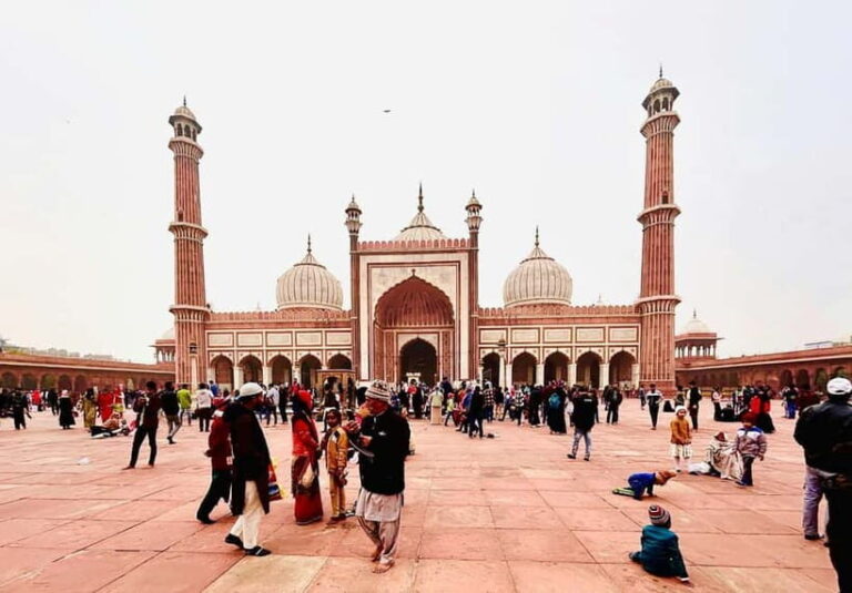 Delhi: Private Full Day New Delhi City Explorer with Guide