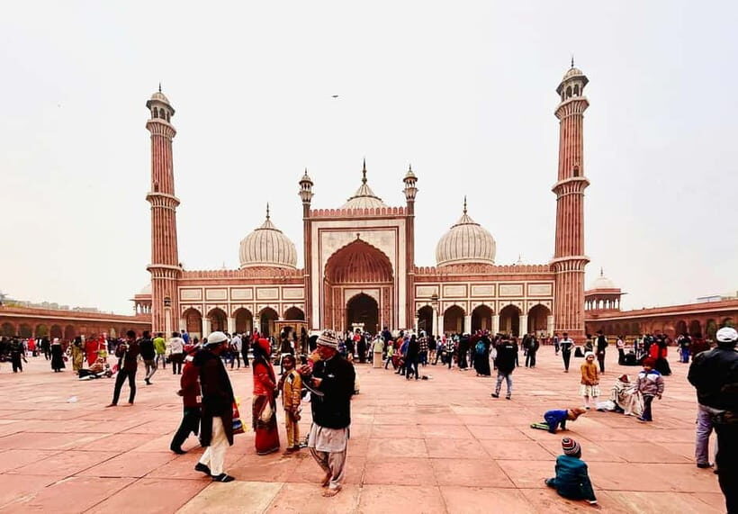 Delhi: Private Full Day New Delhi City Explorer with Guide - The Practical Side: What to Expect