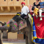 Delhi: Private Same day jaipur tour with Pickup & Drop. - First Stop: The Amber Fort – A Hilltop Marvel