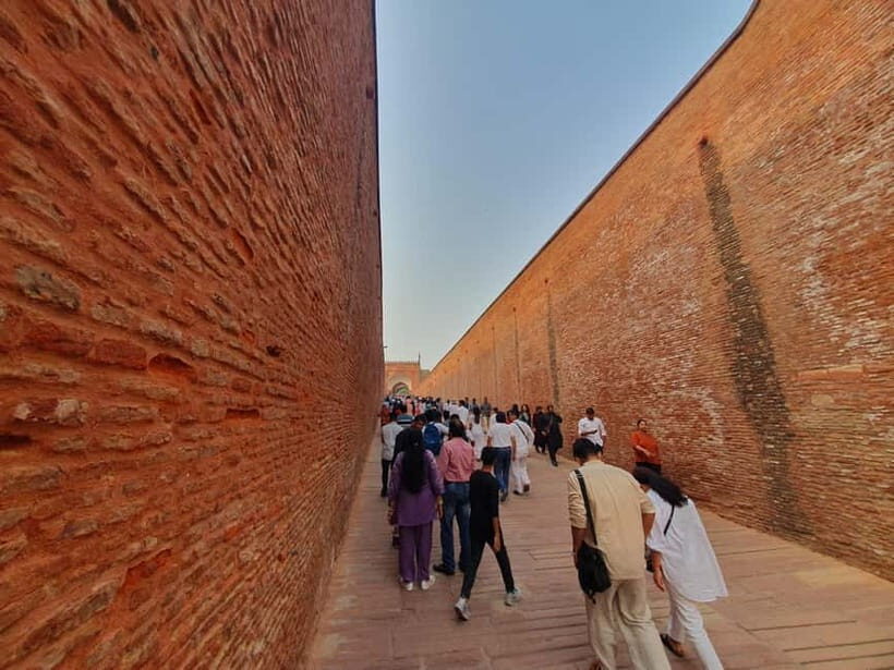 Delhi: Same Day Taj Mahal with Elephant SOS by Express Train - Elephants and Compassion at Elephant SOS