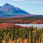 Denali Highway Overnight Excursion - Authentic Experiences and Why They Matter