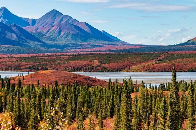 Denali Highway Overnight Excursion - Authentic Experiences and Why They Matter