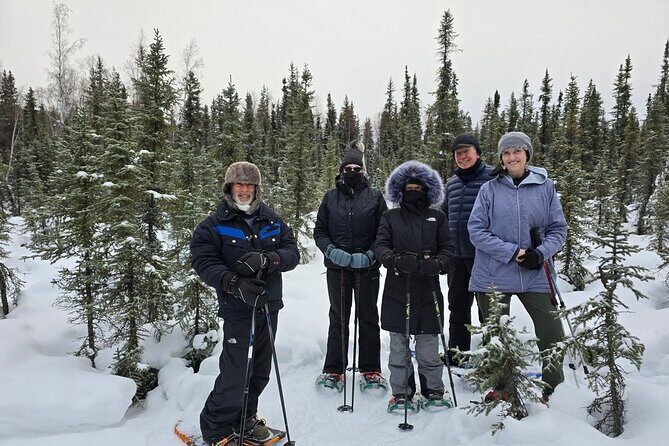 Denali National Park plus Aurora Chase Tour - What Our Reviewers Say