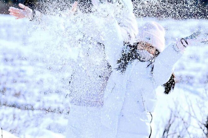 Denali Summer Winter Trial Shuttle with Professional Camera - Transportation and Comfort