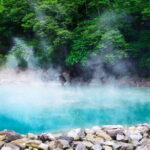 Depth Taipei: National Palace Museum, Beitou, Dadaocheng Day Tour - Who Would Appreciate This Tour?