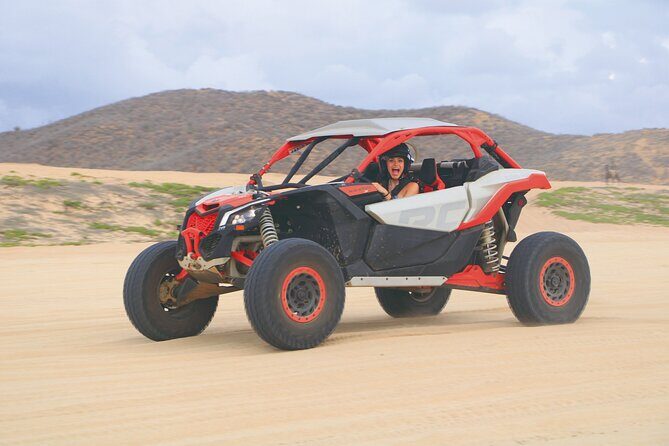Desert and Beach Off Road Tour in Cabo San Lucas - Who Will Love This Tour?
