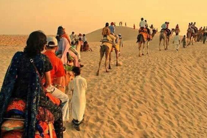 Desert Camel & Jeep Safari Private Tour From Jodhpur - A Detailed Look at the Tour Itinerary