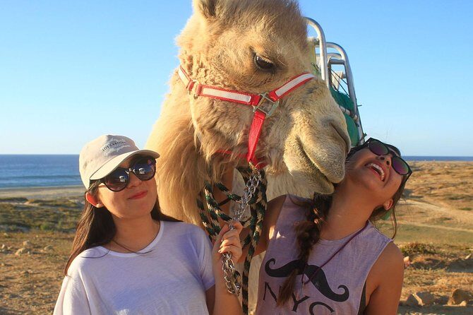 Desert & sea, Camel Safari tour in Los Cabos with lunch - The Coastal Caravan and Mexican Feast