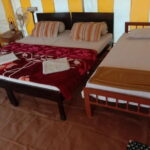 Desert Tour with Sand Dunes - What Travelers Can Expect