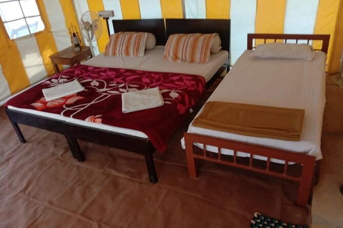 Desert Tour with Sand Dunes - What Travelers Can Expect