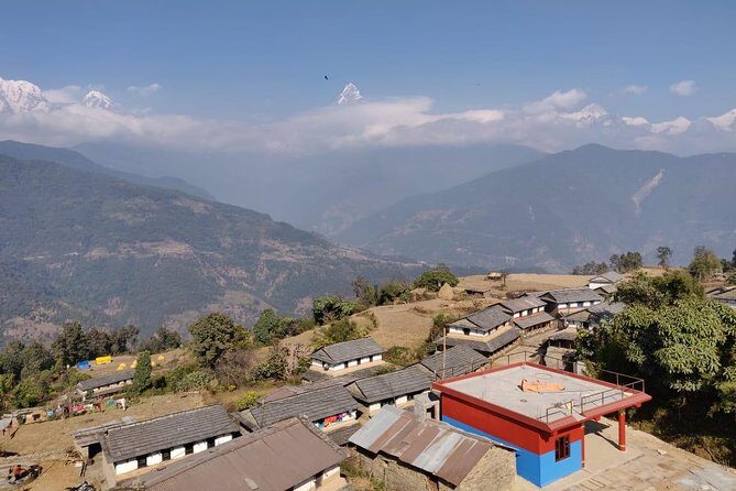 Dhampus Day Hiking Tour from Pokhara - What travelers say