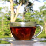 Dibrugarh Tea Tour, Singpho village with lunch, Digboi oil museum - Who Should Consider This Tour?
