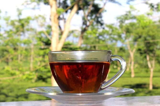 Dibrugarh Tea Tour, Singpho village with lunch, Digboi oil museum - Who Should Consider This Tour?