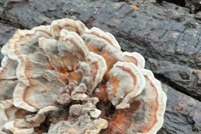 Discover Aurora Illinois Hiking Getaway - Who Will Love This Tour?