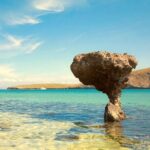 Discover Baja's Heart by Exploring La Paz Beaches and Culture - Comfort and Convenience: What’s Included