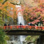 Discover Bohemian Nakazakicho - FAQs