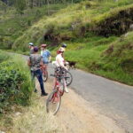 Discover Ella by Cycling - Who Should Consider This Tour?