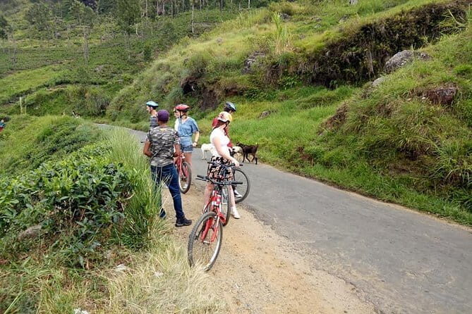 Discover Ella by Cycling - Who Should Consider This Tour?