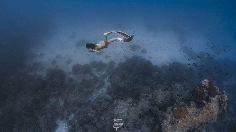 Discover Freediving in Boracay - An Entertaining and Authentic Underwater Introduction