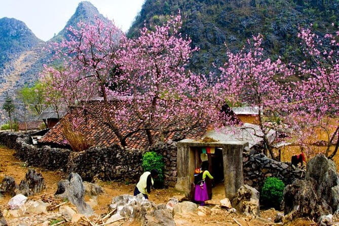 Discover Hagiang 4 Days 3 Nights - What Do Travelers Say?