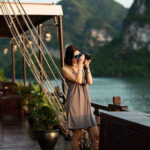 Discover Halong Bay one day with expressway transfer - Detailed Breakdown of the Itinerary