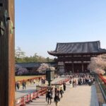 Discover Japan In 10 Days the Land of Tradition and Innovation - Who This Tour Is Best For