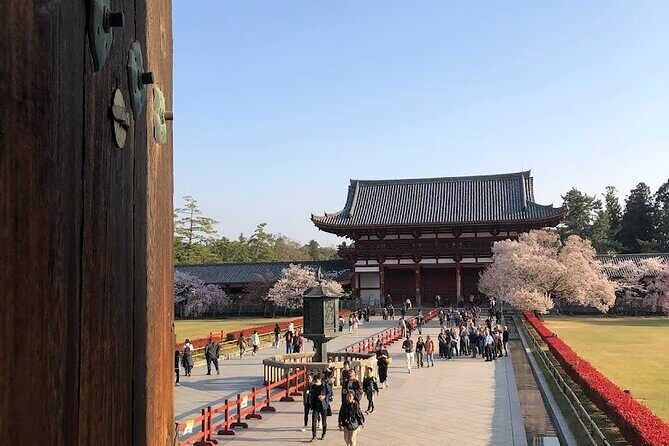 Discover Japan In 10 Days the Land of Tradition and Innovation - Who This Tour Is Best For