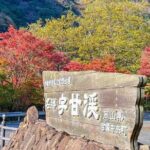 Discover Japans Countryside in Autumn - Why This Tour Stands Out