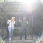 Discover Los Angeles by Mini-Car - Practical Details and Value