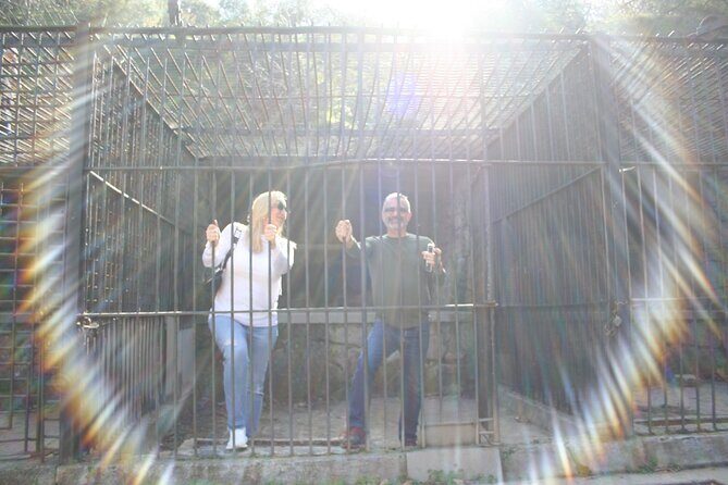 Discover Los Angeles by Mini-Car - Practical Details and Value