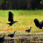 Discover Lung Ngoc Hoang Nature Reserve - FAQs