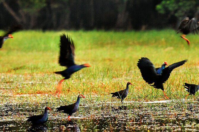 Discover Lung Ngoc Hoang Nature Reserve - FAQs