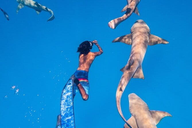 Discover Maafushi in 4 Nights 5 Days (Tour A) - A Deep Dive into the Itinerary