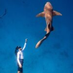 Discover Maafushi in 4 Nights 5 Days (Tour B) - Final Thoughts