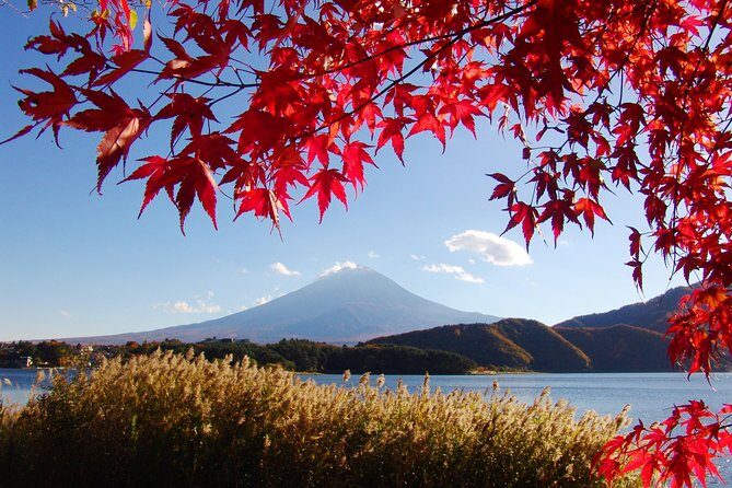 Discover Mt. Fuji 5th Station & Kawaguchiko Sightseeing Day Tour - Who Should Consider This Tour?