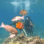 Discover Nha Trang Bay with Scuba Diving Tour - Authentic Experiences & Real-World Feedback