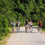Discover Phong Nha's Countryside - 1 Day Cycling Trip - Transportation & Group Dynamics