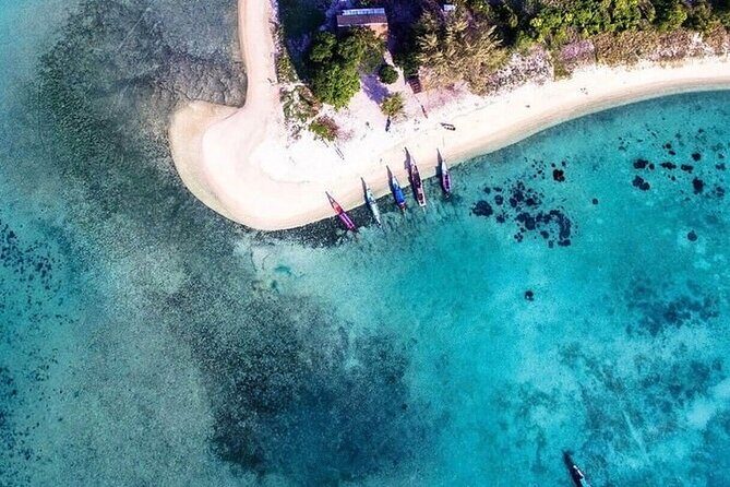 Discover Pig Island & Koh Tan: Private Longtail Trip - What Travelers Are Saying