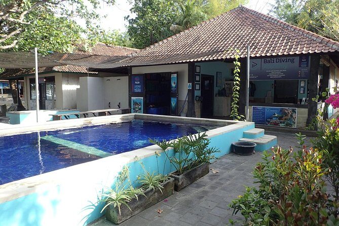 Discover Scuba Diving and dive in Menjangan Island Marine Park 2 dives - Why the Cost Offers Good Value