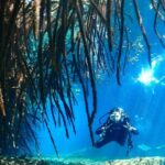 Discover Scuba Diving at Casa Cenote No Certification Needed - Key Points