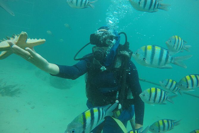 Discover Scuba Diving ( beginners) Combined With Jet Ski - The Jet Ski Addition: A Flexible Twist