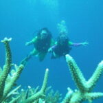 Discover Scuba Diving in Coron - Final Thoughts: Who Will Love This Tour?