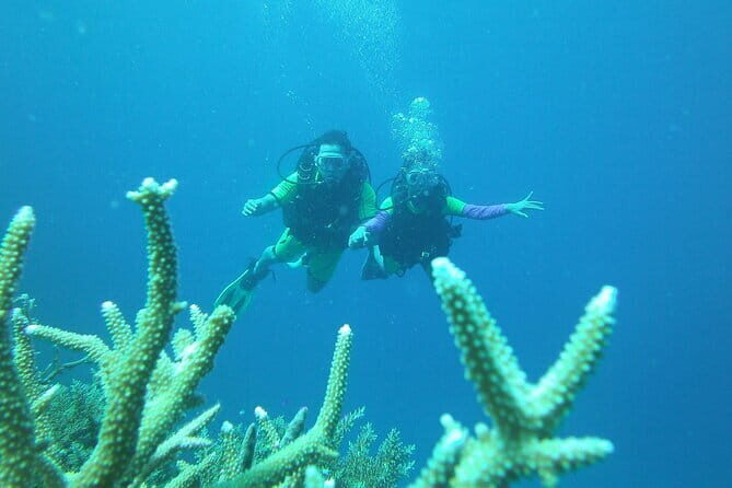 Discover Scuba Diving in Coron - Final Thoughts: Who Will Love This Tour?