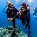 Discover Scuba Diving in Pemuteran - Diving Initiation in Bali (Menjangan Park) - What You Can Expect from the Experience