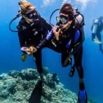 Discover Scuba Diving in Tulamben - Diving Initiation in Bali best diving sites - The Itinerary: How It Unfolds