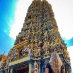 Discover Sigiriya Dambulla and Minneriya Park in Day Tour - Authentic Experiences and Real-World Feedback