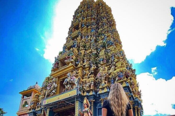 Discover Sigiriya Dambulla and Minneriya Park in Day Tour - Authentic Experiences and Real-World Feedback