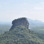 Discover Sri Lanka: 5-Day Cultural & Coastal Tour - What the Tour Includes vs. Excludes