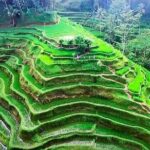 DISCOVER The Beauty of Bali with Private Car Tours - FAQ