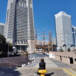 Discover the Best of Yokohama: A 5-Hour Day Tour - Yamashita Park & Hikawa Maru